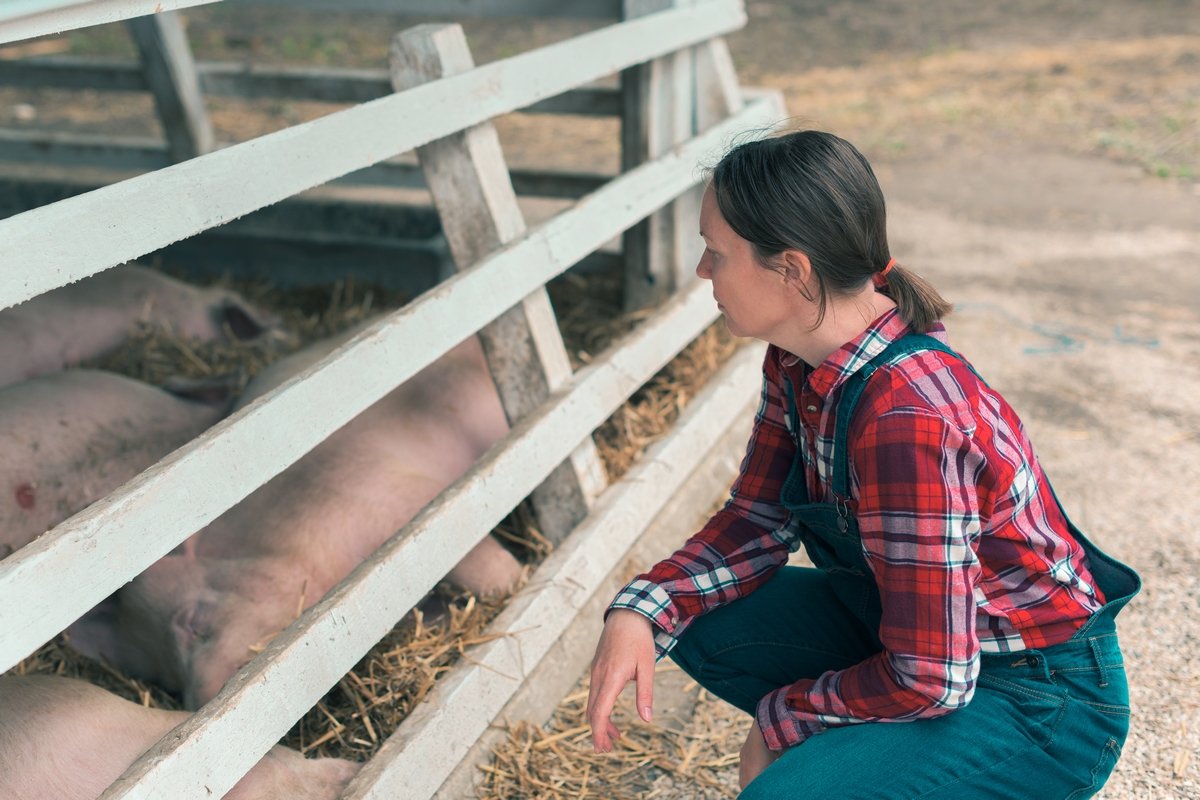 Animal Monitoring: How To Use Visual AI To Automate Inspection?- viso.ai Animal Monitoring: How To Use Visual AI To Automate Inspection?- viso.ai