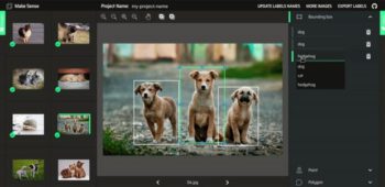 Image Annotation: Best Software Tools and Solutions in 2024 - viso.ai