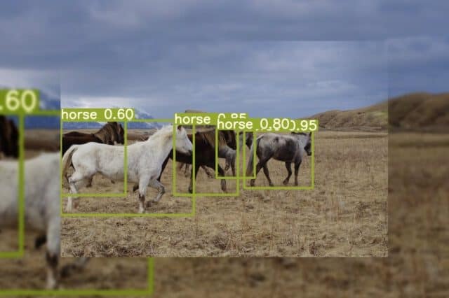 YOLOR: Unveiling the Future of Object Detection