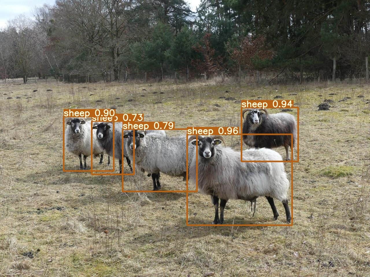 What is OpenCV? The Complete Guide (2025) - viso.ai What is OpenCV? The Complete Guide (2025) - viso.ai