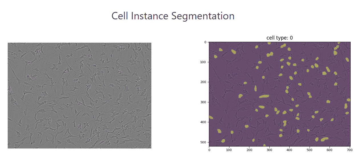 Top 19 Applications Of Computer Vision In Healthcare - viso.ai