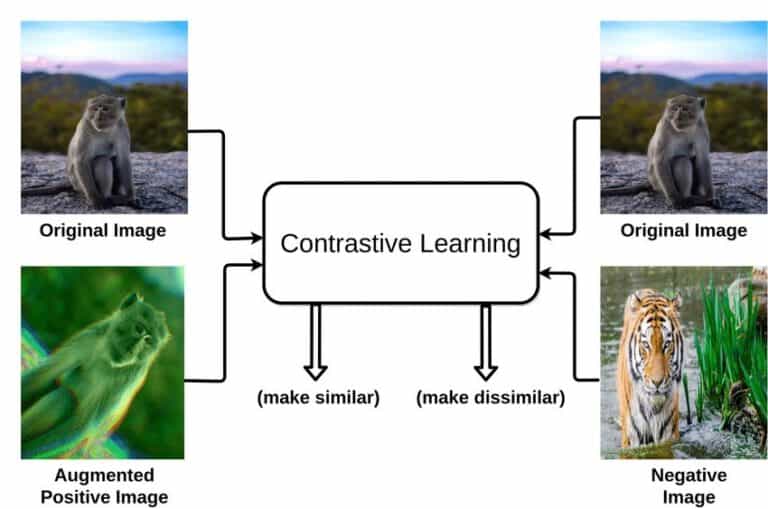 Self-Supervised Learning: Everything you need to know (2024) - viso.ai