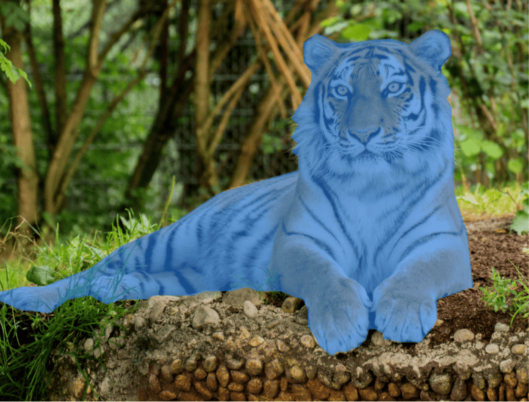 Computer Vision Tasks (Comprehensive 2024 Guide) - viso.ai