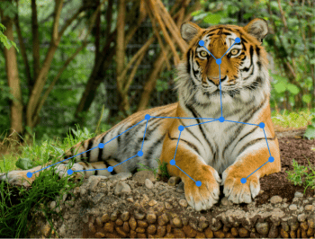 Computer Vision Tasks (Comprehensive 2024 Guide) - viso.ai