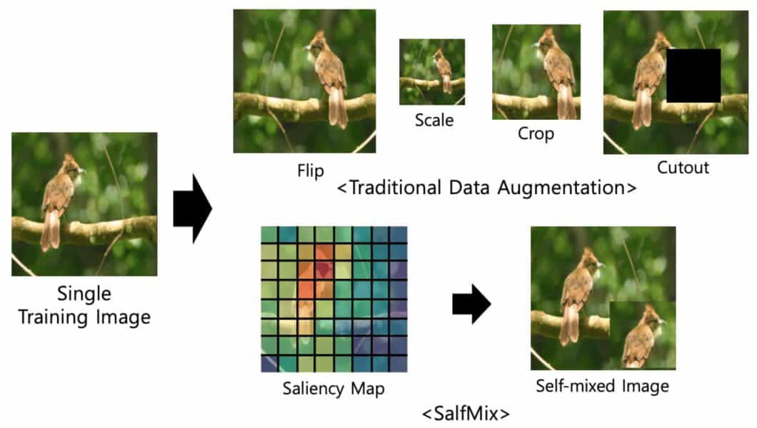 Image Data Augmentation for Computer Vision - viso.ai