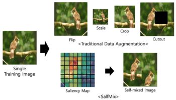 Image Data Augmentation for Computer Vision - viso.ai