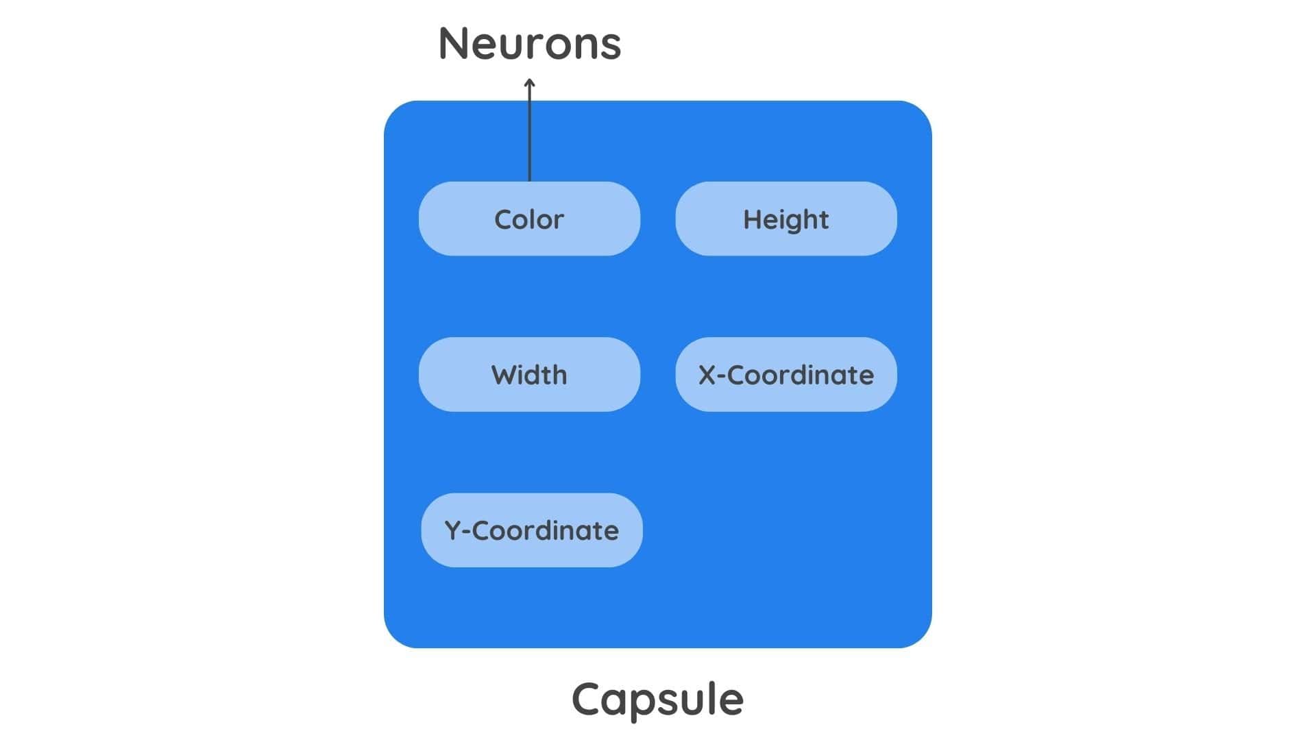 Capsule Networks A New Approach To Deep Learning Visoai