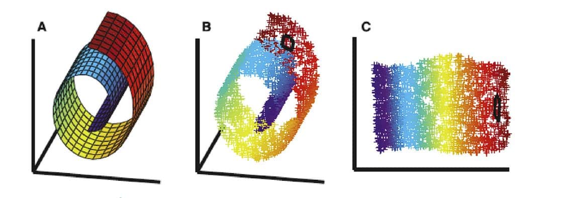 Representation Learning: Unlocking the Hidden Structure of Data - viso.ai