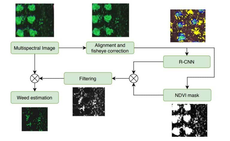 Multispectral Imaging: Looking Beyond the Visible Light - viso.ai