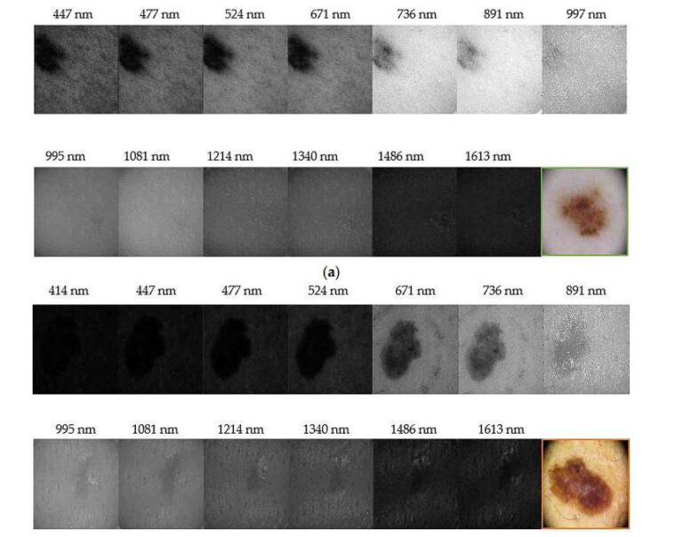 Multispectral Imaging: Looking Beyond the Visible Light - viso.ai