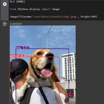 YOLOv10: Real-Time Object Detection Evolved - viso.ai